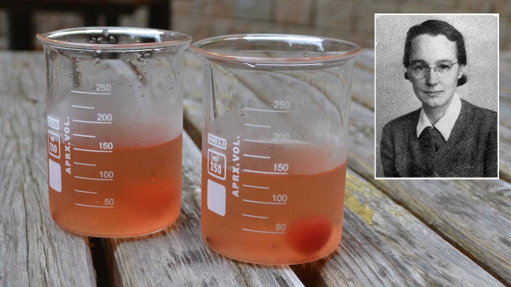 Historical Happy Hour: A Toast to Myrtle Bachelder - The Sugarcane Press